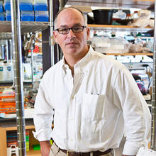 Gordon Fishell | PhD Program in Neuroscience