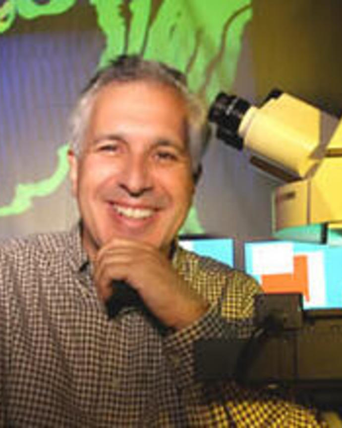 Faculty | Harvard PhD Program in Neuroscience