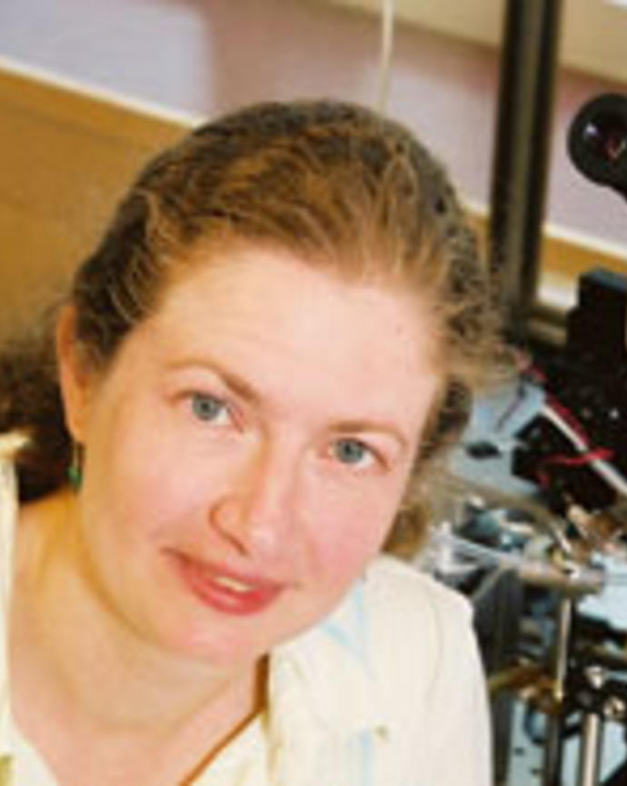 Advising & Mentorship | PhD Program in Neuroscience